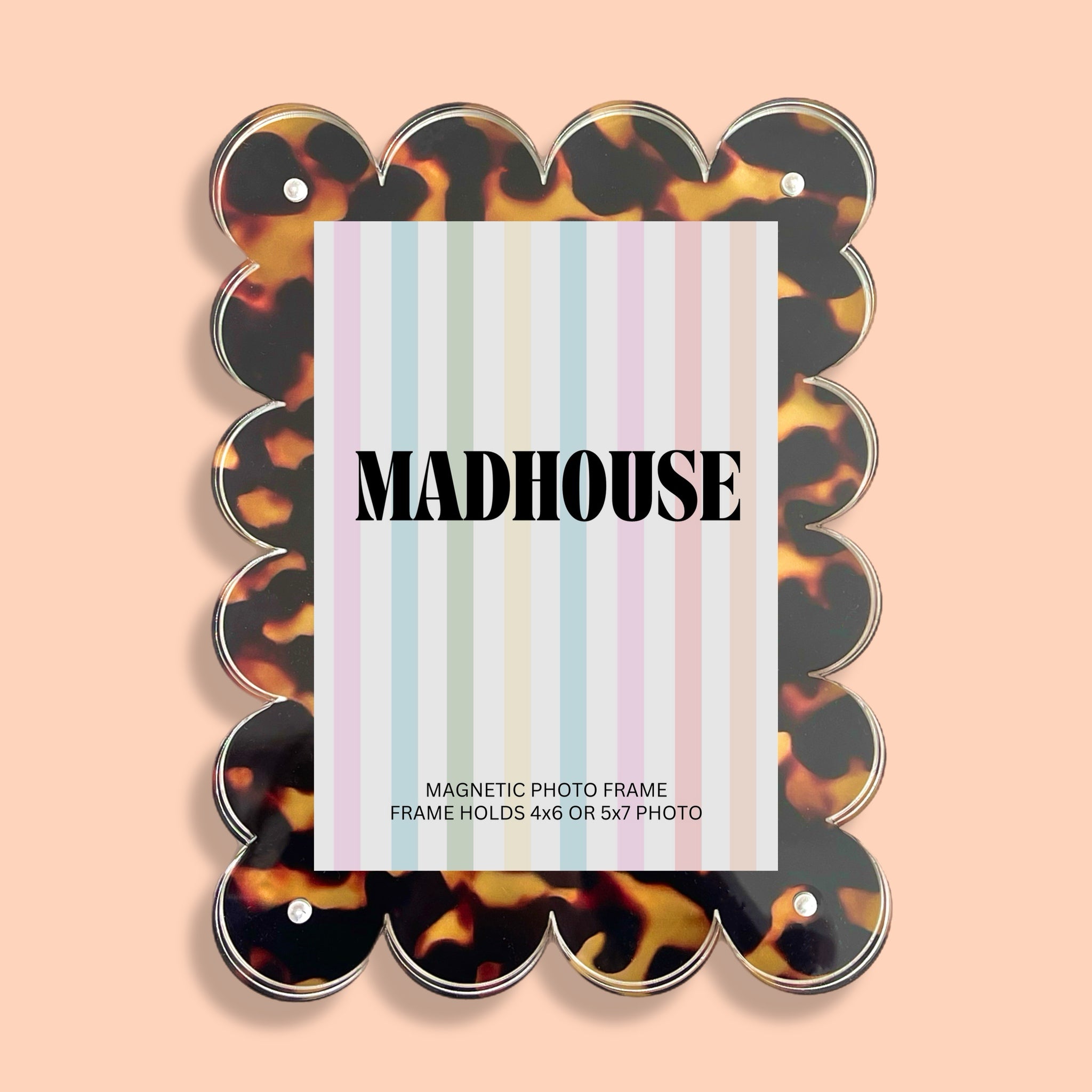 Tortoise Magnetic Photo Frame – MadHouse Designs